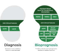 Early Stage Risk Assessment is Best - KidneyIntelX