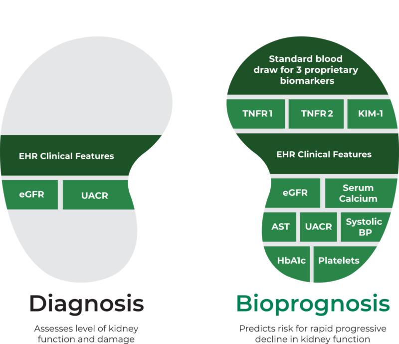 Early Stage Risk Assessment is Best - KidneyIntelX